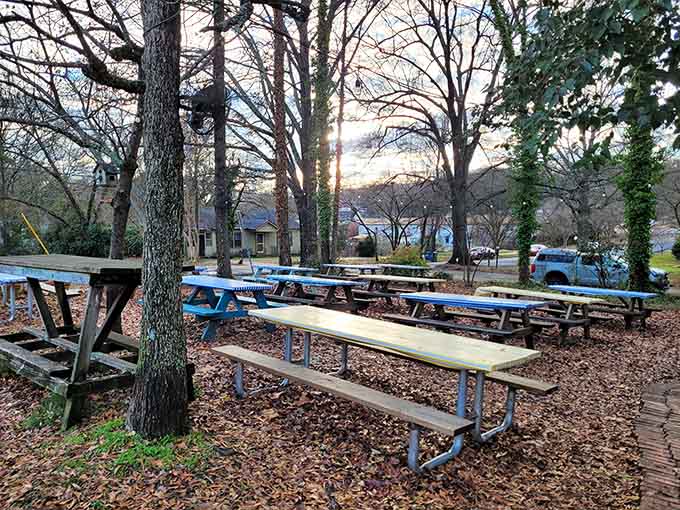 Outdoor picnic tables under the trees offer the perfect spot for enjoying BBQ in the fresh air.