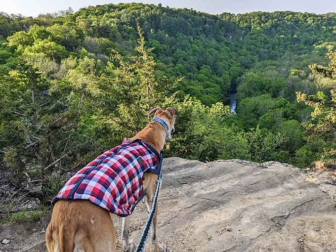 Even your four-legged hiking buddy can appreciate those sweeping valley views from the overlook.