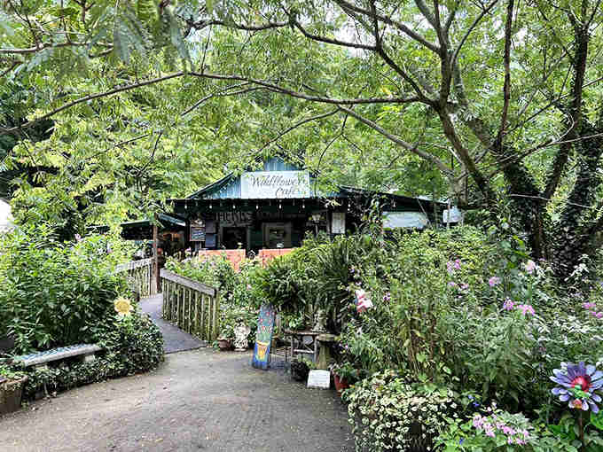 The garden path leading to Wildflower Cafe promises something special awaits. Spoiler alert: it absolutely delivers on that promise.