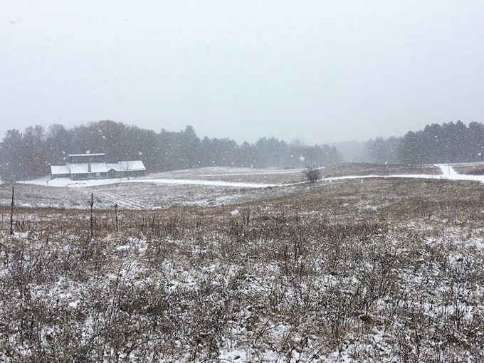 Winter blankets the park in peaceful white, transforming it into a cross-country skier's dream come true.