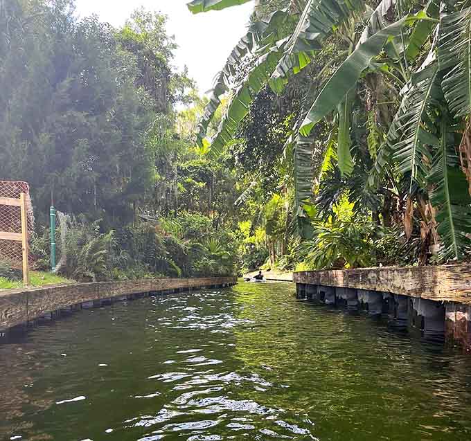 Serene paths winding through tropical paradise, proving Florida's best attractions don't always require entrance tickets or crowds.