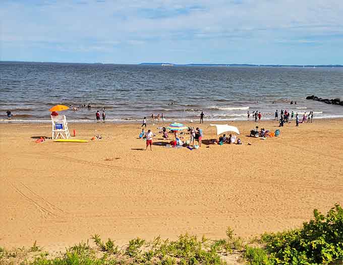 When the beach is actually enjoyable enough that people look genuinely relaxed instead of stressed about finding parking.
