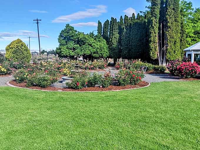 The Arboretum and Botanical Garden blooms with roses and greenery, free natural beauty in a city that values accessibility.