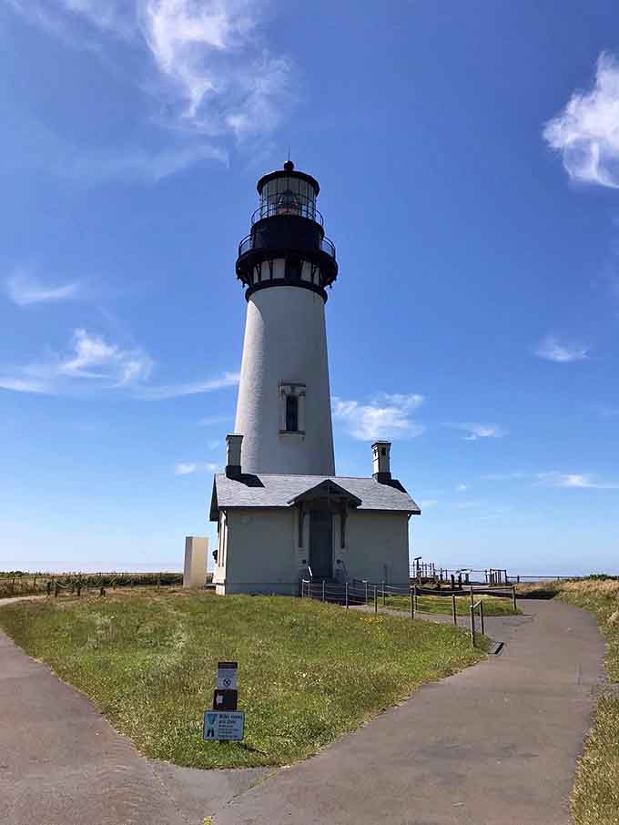 Paved pathways prove accessibility and spectacular views aren't mutually exclusive, just thoughtfully planned by people who actually care.