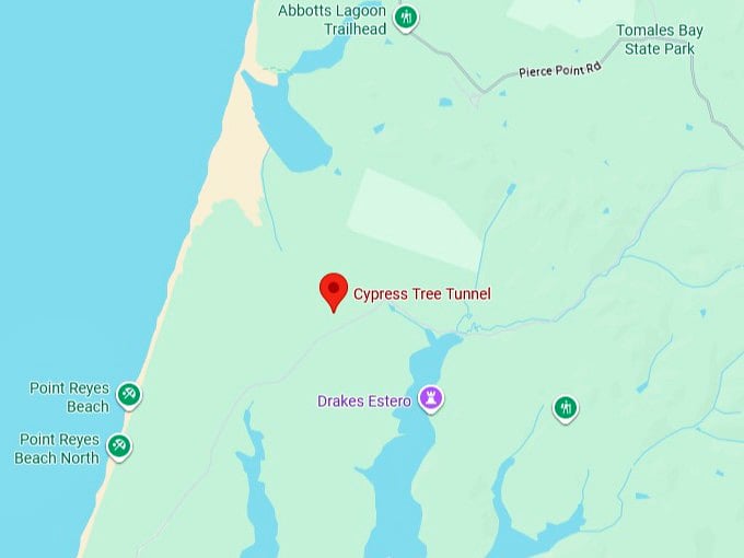 16. cypress tree tunnel map