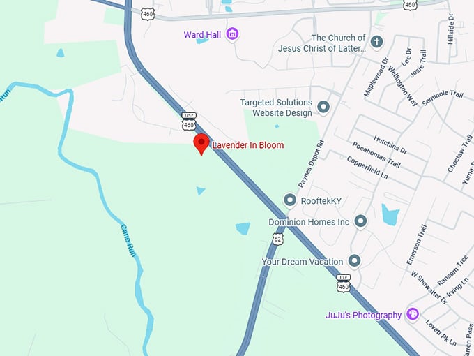 16. lavender in bloom map