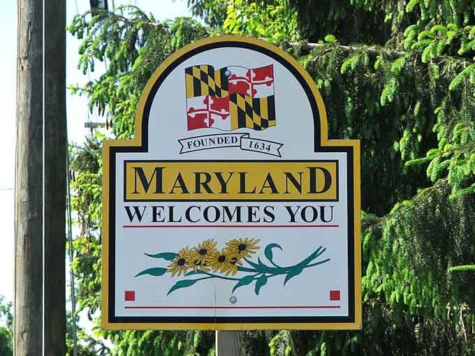 Up close, that black-eyed Susan and blue crab combo never gets old, does it?