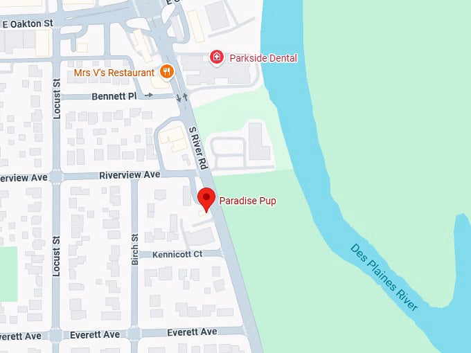 16. paradise pup map