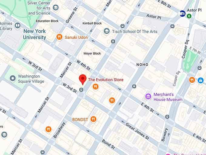 16. the evolution store map