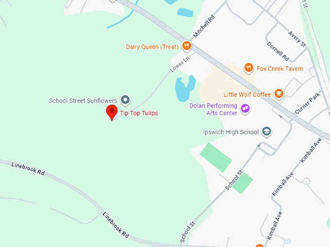 16. tip top tulips map