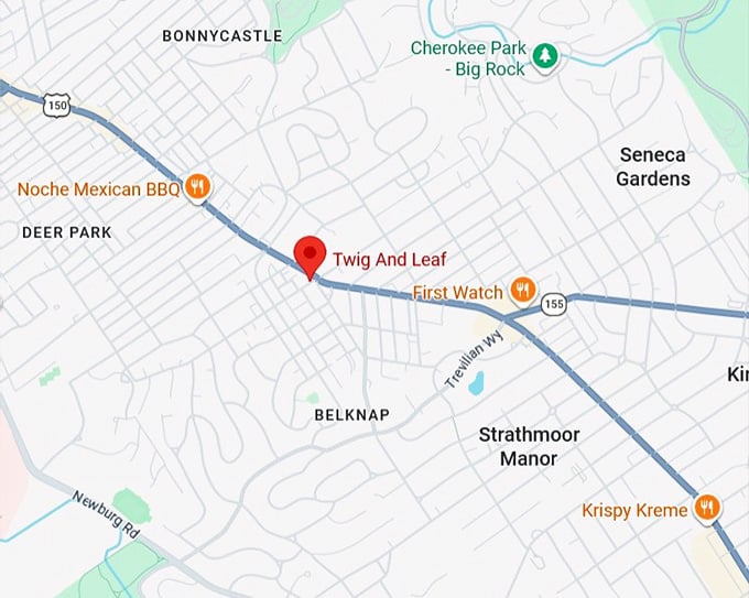 16. twig and leaf map