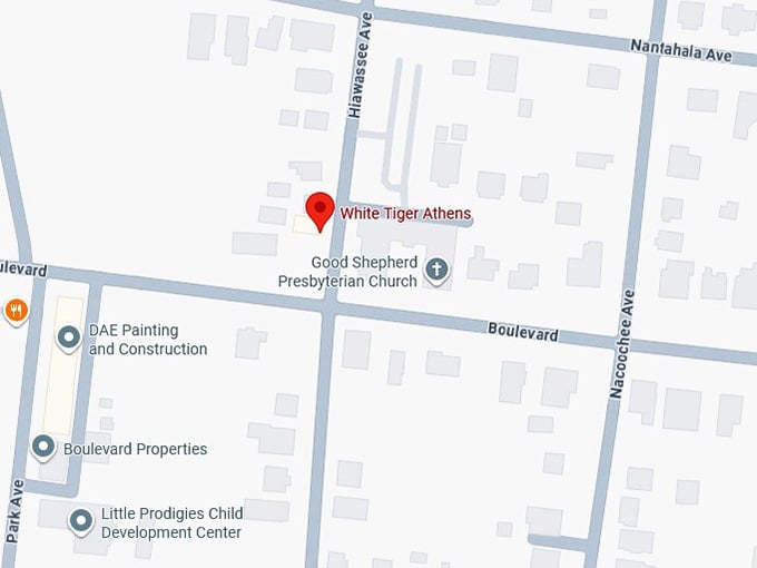 16. white tiger athens' map