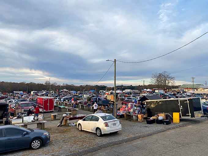 When the sky looks this dramatic, you know the treasure hunting is about to get serious.