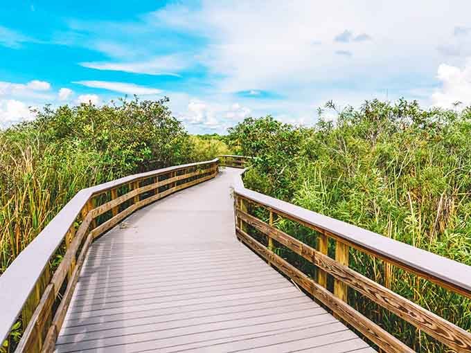 This boardwalk curves through sawgrass like nature's own yellow brick road, minus the flying monkeys and singing munchkins.