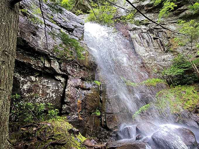 Water cascades down moss-covered cliffs like nature's own shower curtain, creating a misty mountain masterpiece.