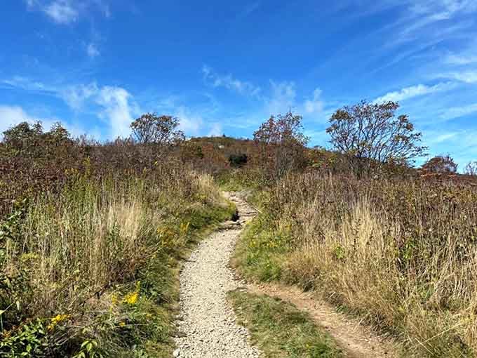 Here's your golden ticket to mountain views without the mountain climbing drama of a Rocky sequel.