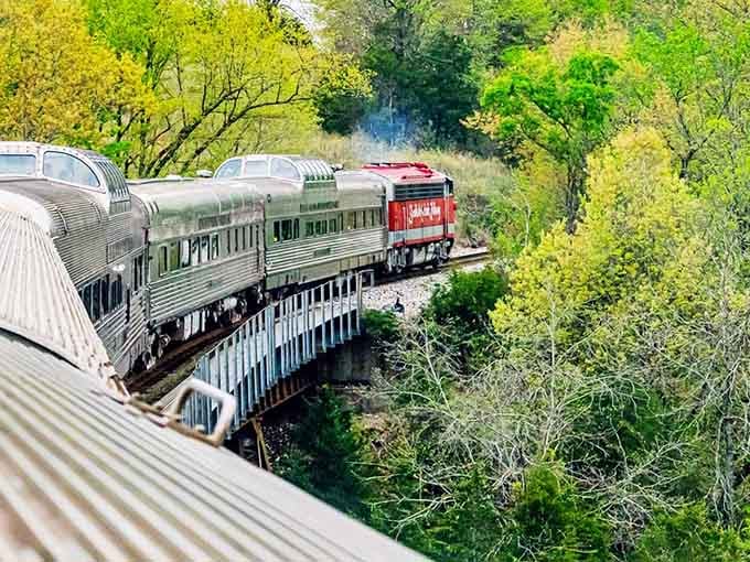 Nature wraps around the rails here, turning every curve into a postcard moment worth savoring slowly.
