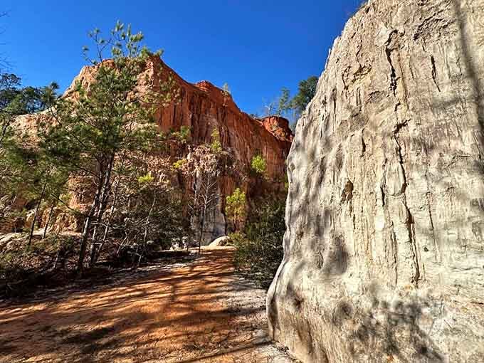 Mother Nature's paint palette on full display with canyon walls striped in rust, cream, and coral hues.