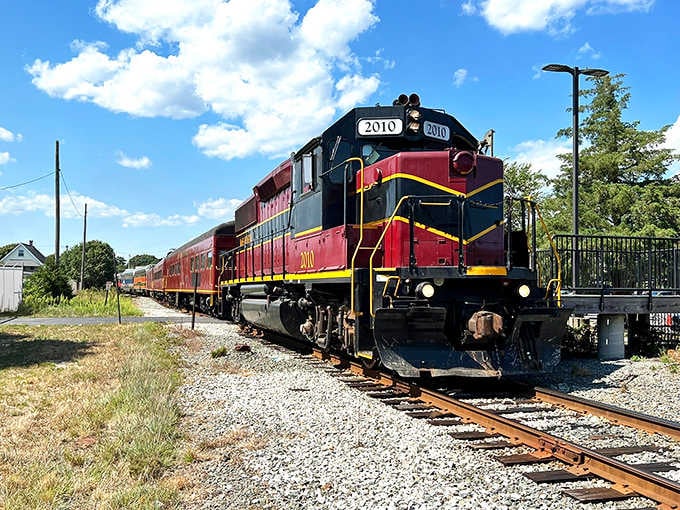 That bold red and yellow locomotive gleams under Cape Cod sunshine, ready to whisk you through cranberry country.