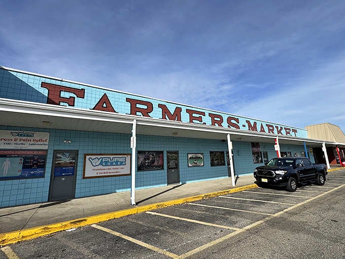 That retro turquoise and red signage practically screams "bargain paradise ahead" louder than any GPS ever could.