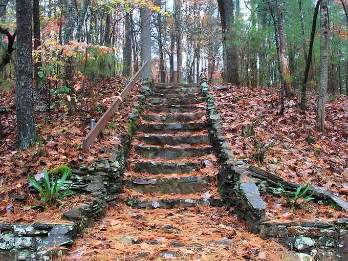 These stone steps carpeted in autumn leaves lead somewhere magical, like a path from a fairy tale.