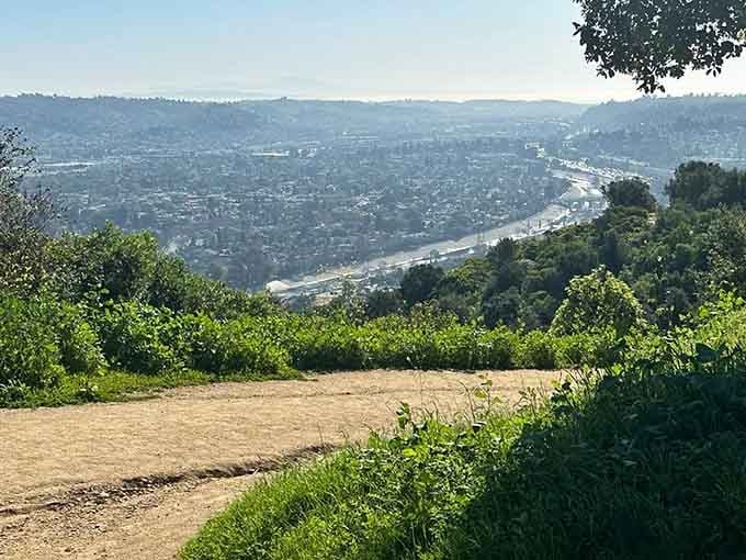 Look at that sprawling city view stretching below like a postcard come to life, framed by lush greenery.