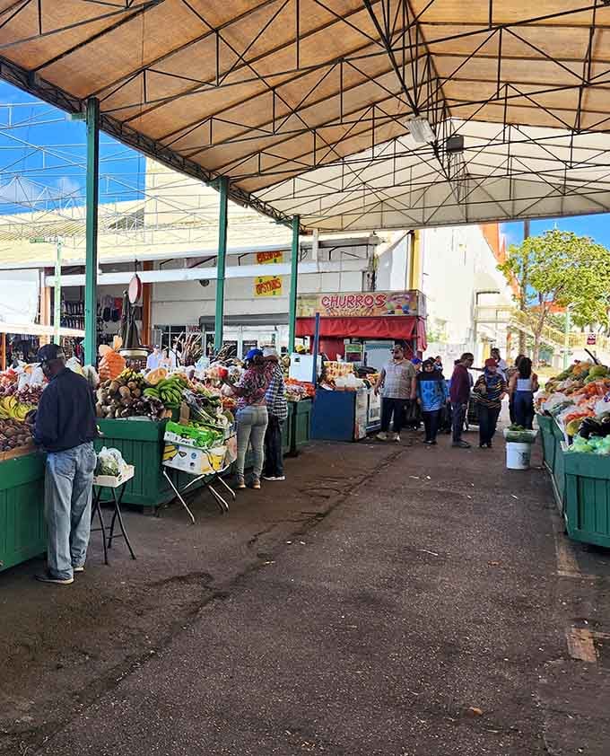 Fresh produce under sunny skies – this outdoor market brings farm-fresh goodness straight to eager shoppers every weekend.