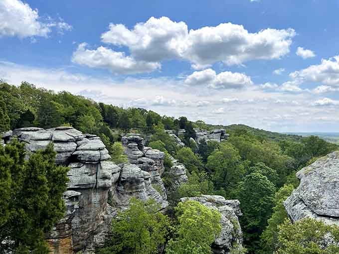 These ancient rock formations tower above the forest canopy like nature's own skyscrapers reaching toward endless blue skies.