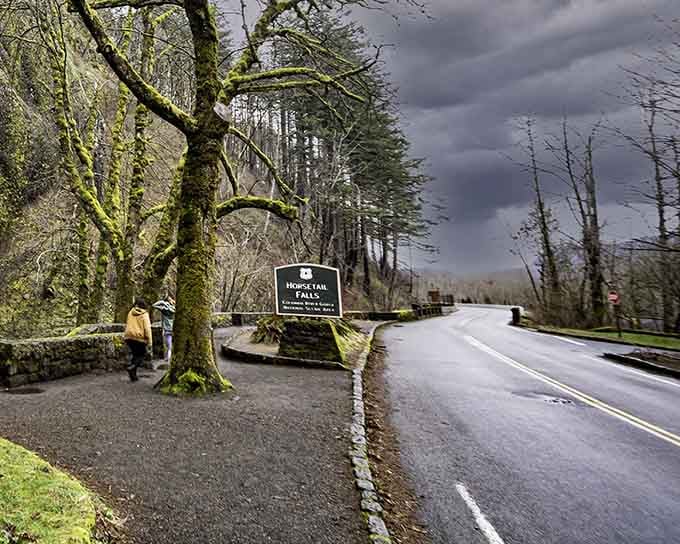 Moss-draped trees and moody skies frame this legendary highway where waterfalls wait around every bend.