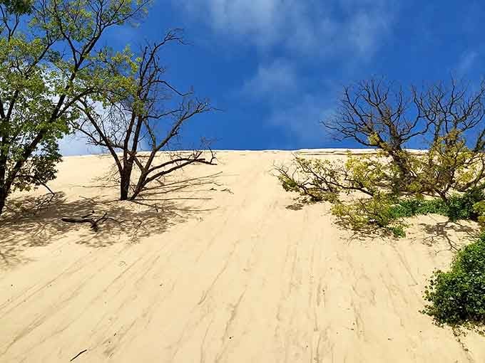 These towering sand dunes prove you don't need an ocean for a proper beach day adventure.