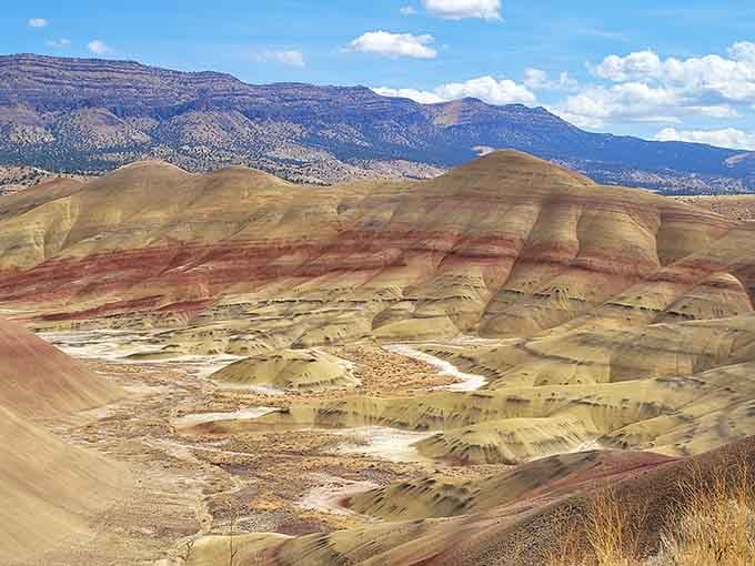 Nature's paint palette spilled across these hills, creating stripes of gold, crimson, and amber that shift with the light.