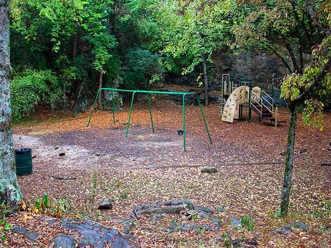 Empty swings in autumn leaves create an eerie playground scene that feels frozen in time.