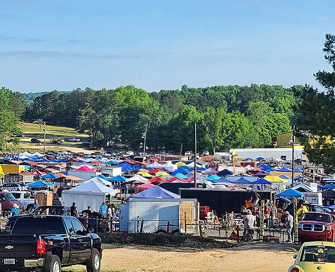 Look at this sea of colorful tents stretching toward the trees like a treasure hunter's dream come true.