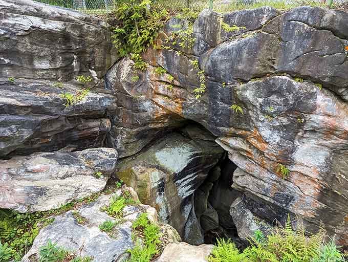 Nature's own marble archway draped in moss and ferns creates a scene straight from Middle-earth's finest moments.