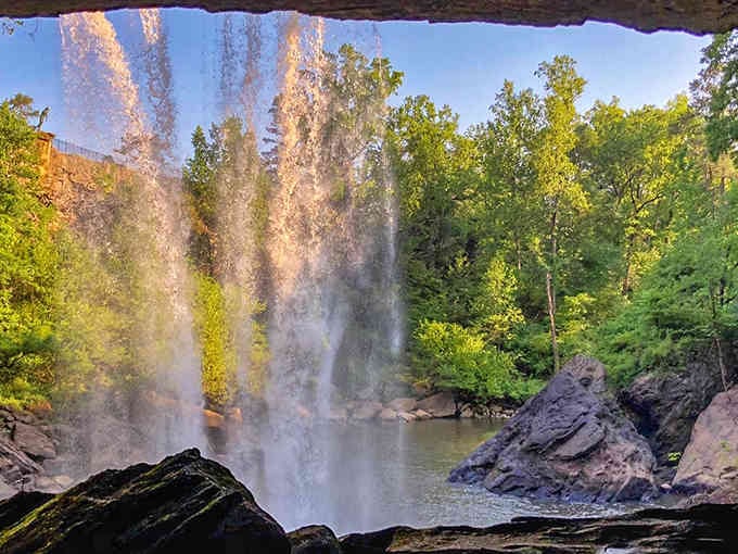 Golden sunlight catches the mist as water plunges into the gorge, creating nature's own light show.