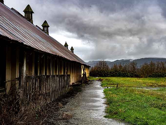 Those weathered cupolas stand watch over abandoned corridors where storm clouds gather like memories refusing to fade away.