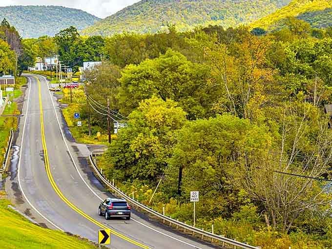This winding ribbon of asphalt through spring-green mountains makes every commute feel like a vacation day.