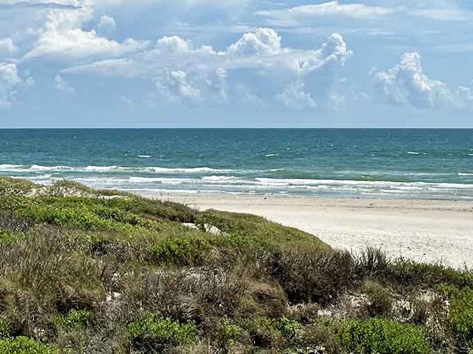 Wild coastal dunes frame pristine Gulf waters where nature still runs the show, untouched and gloriously free.