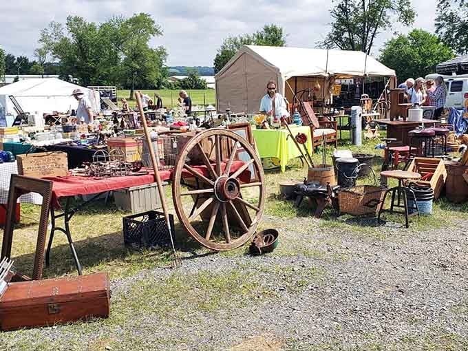 That wagon wheel isn't just decoration: it's your gateway to discovering treasures from generations past spread across sunny fields.