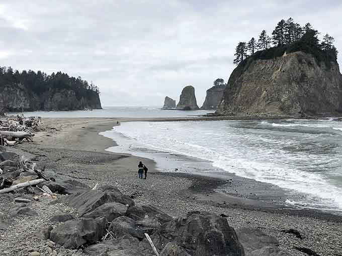 Picture this: towering sea stacks rising like ancient skyscrapers while driftwood creates nature's own sculpture garden.