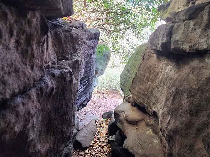 Nature's own obstacle course carved from ancient stone, these towering rock walls create passages that feel wonderfully mysterious.