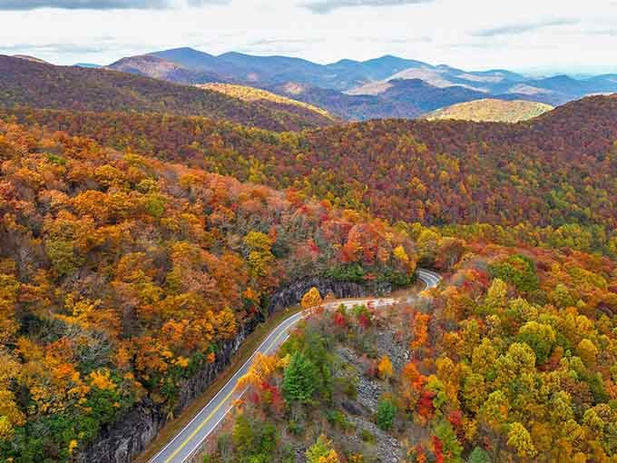 Mountains draped in autumn's finest work create a tapestry that makes you forget your GPS exists.