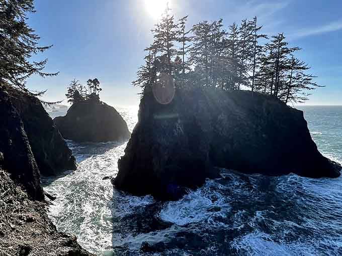 Sea stacks crowned with windswept trees rise from sparkling waters like nature's own fairy tale castles.