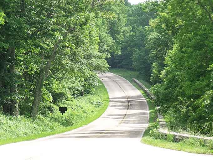 This gentle curve through summer greenery is where your GPS stops nagging and nature takes over the navigation.