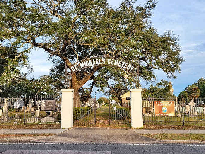 That grand oak archway welcomes you to centuries of stories resting beneath Spanish moss and Southern sunshine.