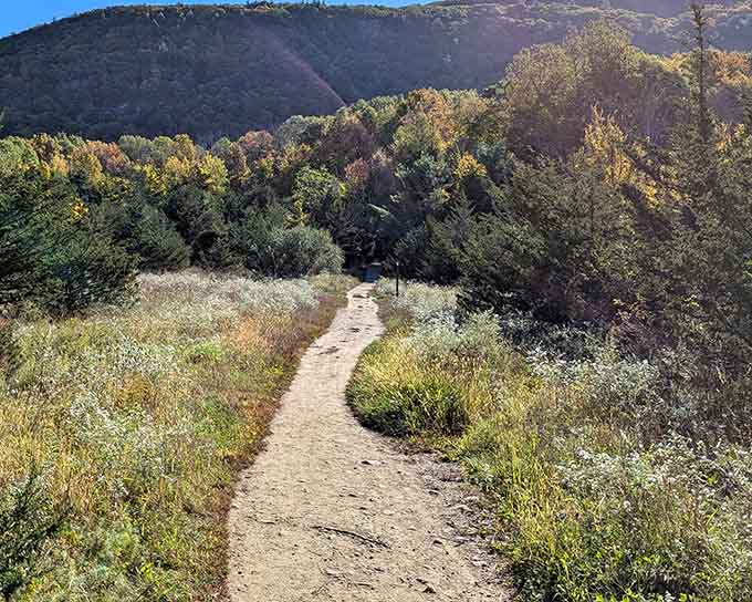 This winding path through golden grasses leads to mountain views that'll make your heart skip a beat.