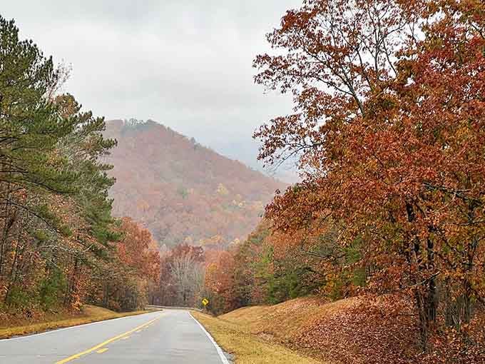 Autumn paints these mountain curves in colors that make even the most practical driver pull over sighing.