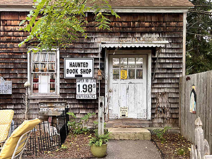 Sometimes the most magical bookstores look like they've been touched by literary fairy dust and weathered wisdom.