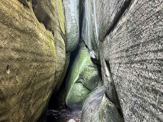 Nature's own squeeze play - these towering sandstone walls create passages so narrow you'll feel like Indiana Jones navigating an ancient temple.