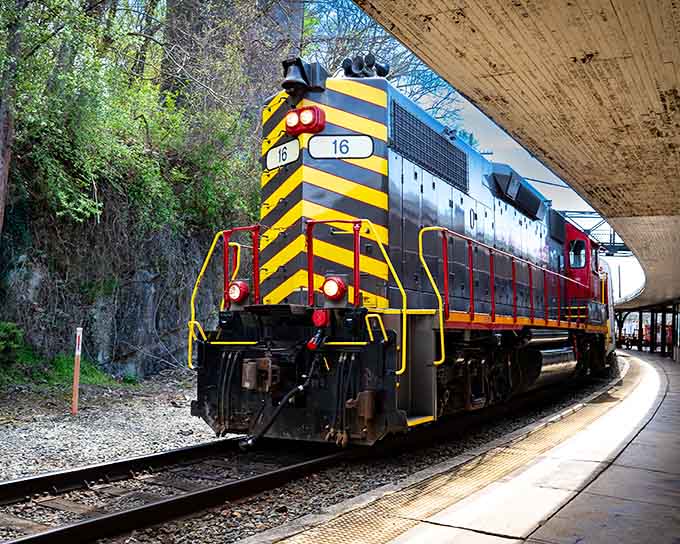 Those bold yellow and black stripes make this locomotive look like a giant bumblebee ready to roll through Virginia's countryside.